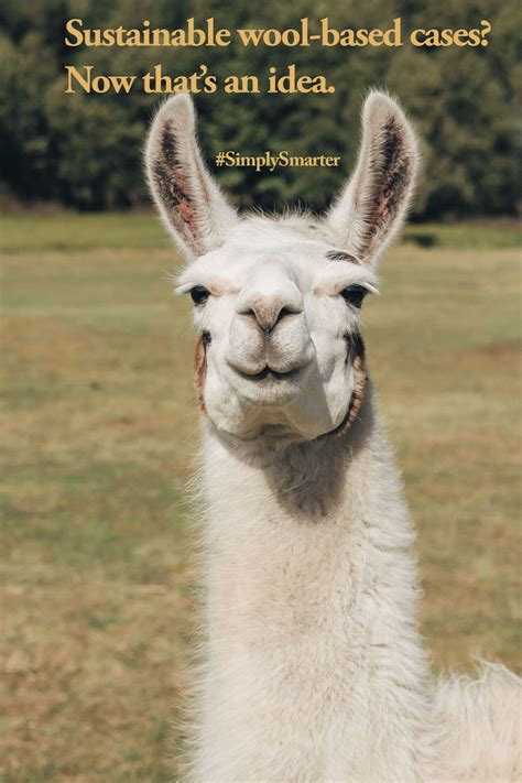 Sarah Lockett On Linkedin Salesforce Salesforceadmin Ohana Trailblazercommunity Trailblazers