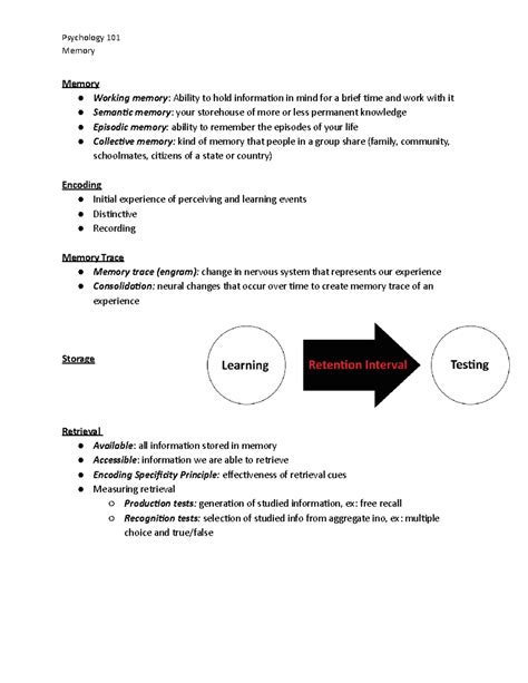 Psy 101 Memory Lecture Notes Winter 23 Psychology 101 Memory Memory Working Memory Ability To