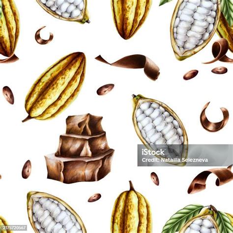 초콜릿 조각 열린 코코아 포드 과일과 함께 완벽 한 패턴 건초 더미 손으로 그린 현실적인 유기 Superfood 수채화 그림이 배경에 고립되어 있습니다 디자이너 포장 디자인
