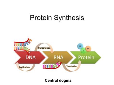 Genetic Code Mutations 35 Naruto Sasuke Cocaìna I Love 8d Tentacle Porn