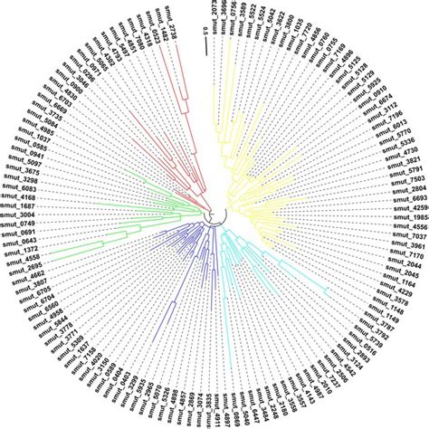 Pdf Comparative Secretome Analysis Of Different Smut Fungi And