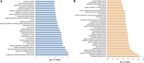 Functional Annotation Enrichment Analysis Of Scad Related Proteins A
