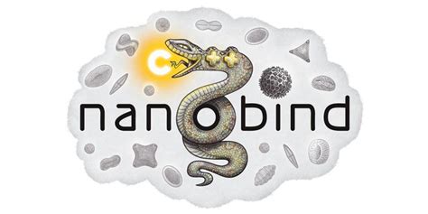 Github Wjakobnanobind Nanobind Tiny And Efficient Cpython Bindings Real Python