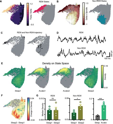 State Dependent Coupling Of Hippocampal Oscillations Elife