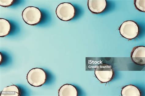 코코넛 열매 파스텔 블루 바탕에 화려한 패턴입니다 여름 개념입니다 플랫이 하다 개념에 대한 스톡 사진 및 기타 이미지 개념 개념과 주제 견과 Istock
