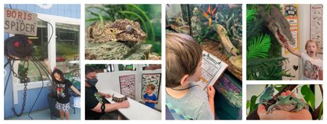Bremerton Bug And Reptile Museum