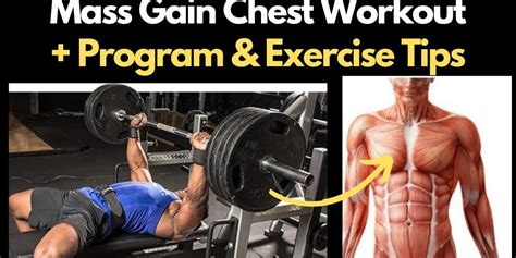 Mass Workout For Chest Huge Hypertrophy