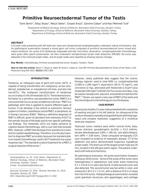 Pdf Primitive Neuroectodermal Tumor Of The Testis