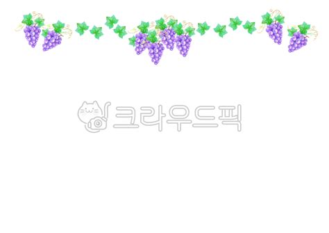 포도 포도나무 포도그림 장식 배경 사진 이미지 일러스트 캘리그라피 Csophie작가