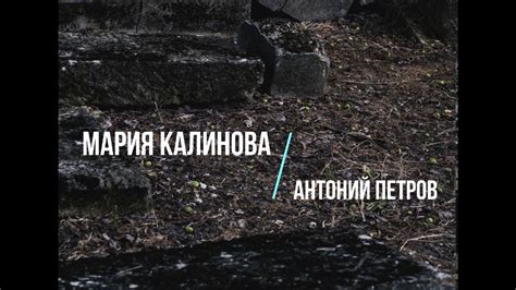 Видео есета за съвременна литература Мария Калинова за Есхатологии на Антоний Петров Youtube