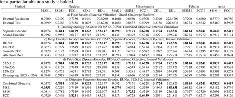 Patch Based Encoder Decoder Architecture For Automatic Transmitted Light To Fluorescence Imaging