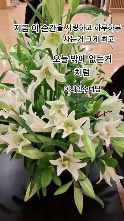 캐서린의사랑 꽃잎 한 장처럼 시인 이해인 수녀 Youtube