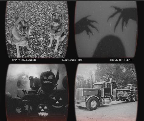 Sunflower If Things Get A Little Spooky Day Or Night You Can Always