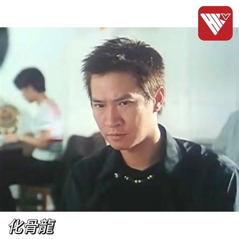 V仔：白堊紀公園 鳳凰秀 影響有影響力的人