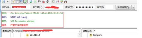 550 Permission Denied Filezilla Ubuntu Server Holisticsexi