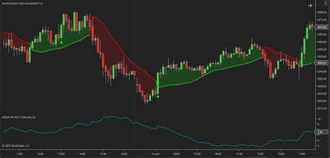 ninjatrader gann high low indicator