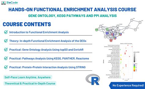 Functional Enrichment Analysis Gene Ontology Kegg Pathways Analysis
