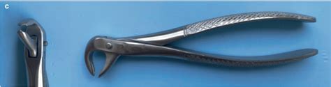 Extraction Forceps And Elevators Dentmistry
