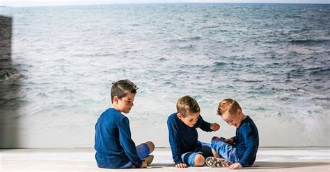 The Repair Of Early Trauma Action Trauma