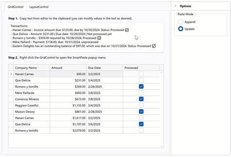 Smart Paste Wpf Controls Devexpress Documentation