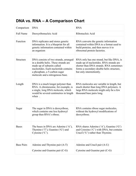 Dna Vs Rna Table