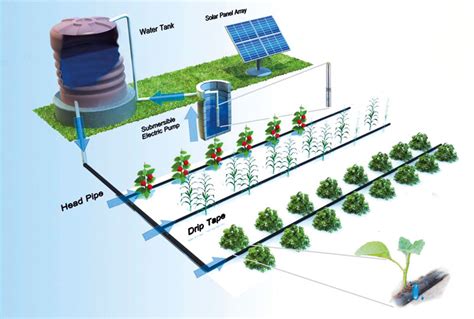 Agrivoltaic Systems A Promising Experience Energy Industry Review