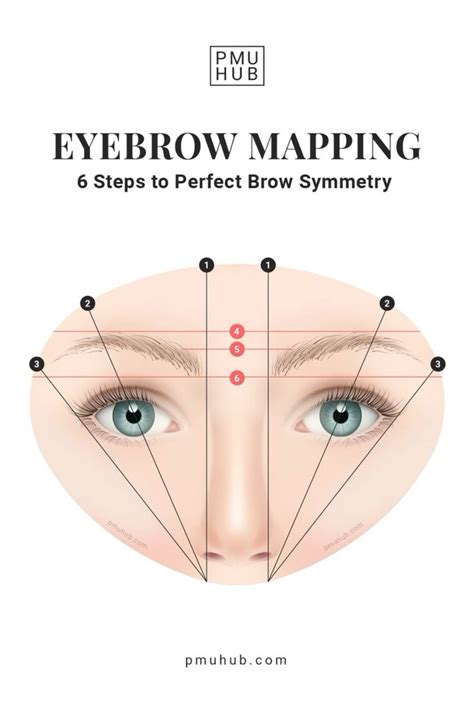 eyebrow mapping chart a step by step guide to perfect brows artofit