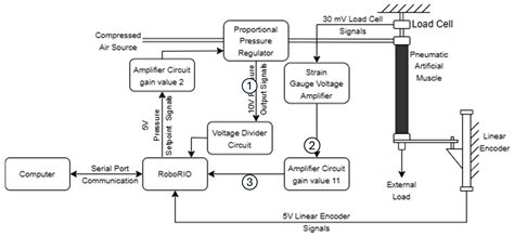 Model Predictive Control With Optimal Modelling For Pneumatic Artificial Muscle In