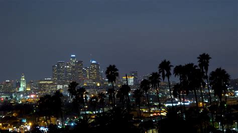 Los Angeles Palm Trees Night Los Angeles Palm Trees Photos Download