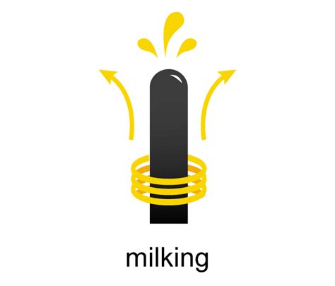 Pompoir Guide Pompoir Your Vaginas Impressive 27 Skills Vv