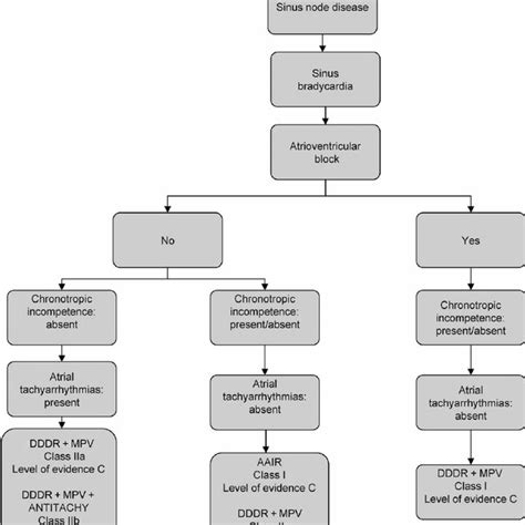 Pdf Guidelines For Cardiac Pacing And Cardiac Resynchronization