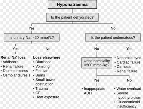Reasons Hyponatremia Hypernatremia Hypovolemia Flow Diagram Flowchart Png Image Pnghero