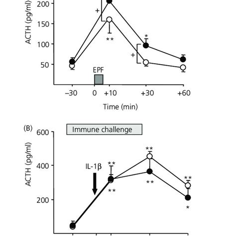 Effect Of Dorsomedial Hypothalamic Nucleus Dmh Lesions On The Level Download Scientific