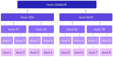 What Is A Hash Function The Core Algorithm Behind Blockchain Coinrank