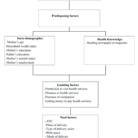 Conceptual Framework Download Scientific Diagram