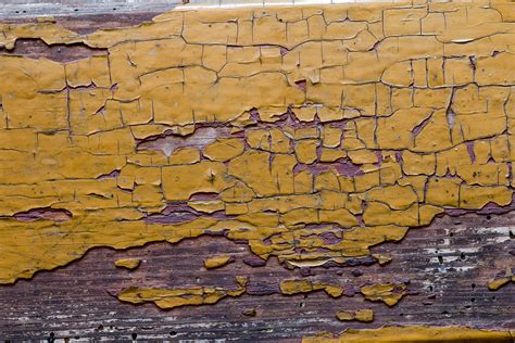 7 Reasons Why Lead Paint Is Harmful Risk Removal