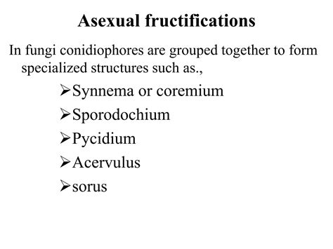 Asexual Fruiting Bodies Of Fungi Pptx