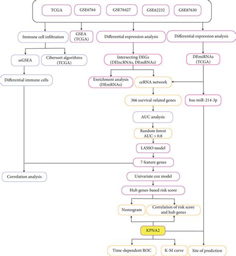 The Detailed Flow Chart For This Research AUC Area Under The Curve Download Scientific