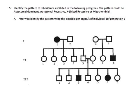 Solved 5 Identify The Pattern Of Inheritance Exhibited In