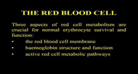 Free Download The Red Blood Cell Powerpoint Presentation Slides