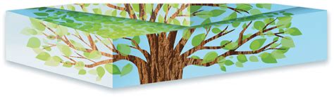 Career Tree TFS Results