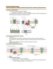 Lecture 2 3 Pdf BI 380 Molecular Neurobiology Lecture 2 3 Chapters 11 Signaling By