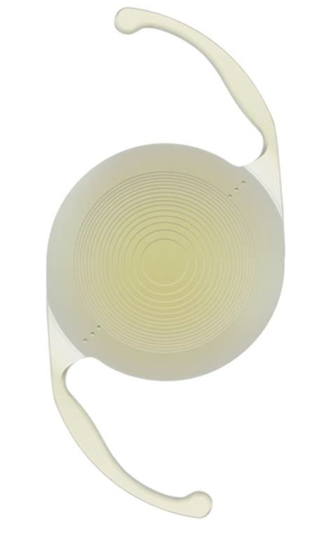 Bionic Shutdown Hook