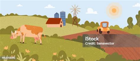 언덕 풀 소가 있는 시골 풍경 현대 농업 벡터 일러스트 레이 션 푸른 하늘과 구름과 생태 학적으로 깨끗한 지역 여름에는 마을 에코 제품을 위한 밭 배경에 트랙터 0명에 대한