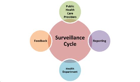 Surveillance Cycle Approach Is Used Gather Process And Share Public Download Scientific