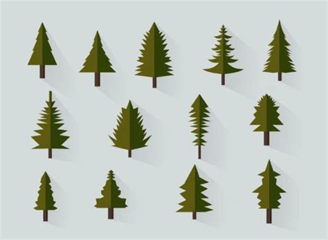 Pine Tree Color Vector And Silhouettes Graphic By Webbygfx · Creative Fabrica
