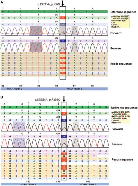 Next Generation Dna Sequencing Pseudo Electropherograms Demonstrating Download Scientific