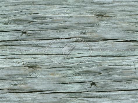Bark Texture Seamless 12348
