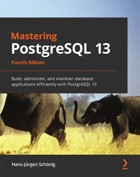 Mastering Postgresql 13 Освоение Postgresql 13 на англ яз Hans Jürgen Schönig купить и