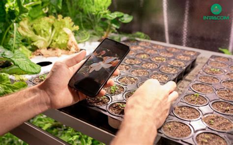 Ứng Dụng Iot Trong Nông Nghiệp Intracom Group